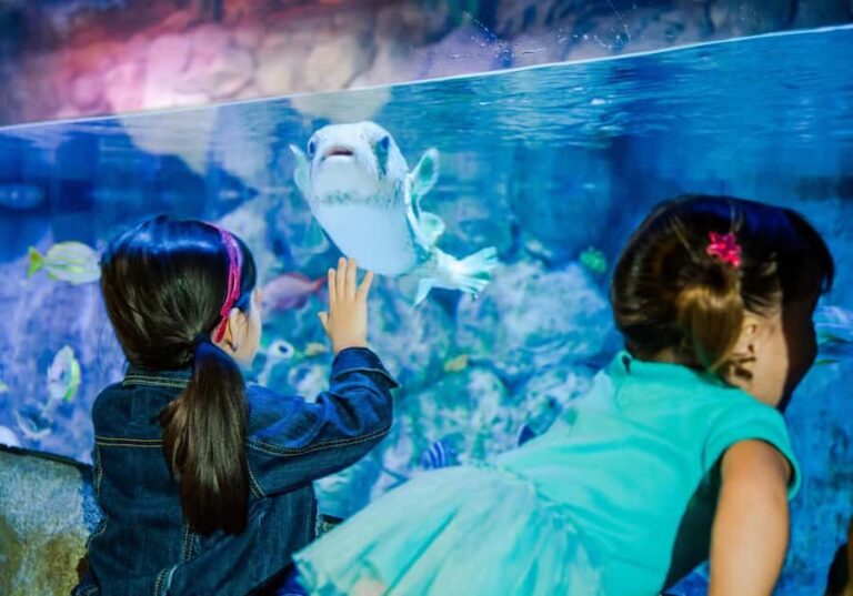 SEA LIFE Aquarium San Antonio - What do visitors say?