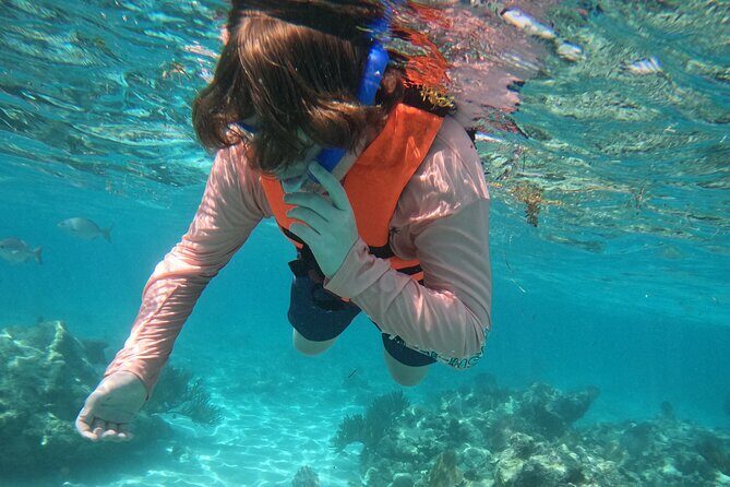 Sea Turtle Snorkeling in Akumal - The Sum Up