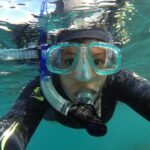 Seal Swimming Tour from Kaikoura - The Value of the Experience