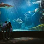Sealife Bangkok + Madame Tussauds Bangkok for Foreigner - Why This Tour Offers Great Value