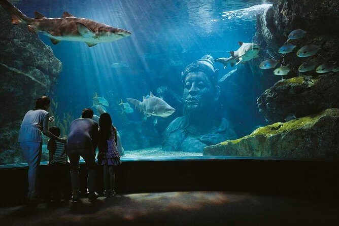 Sealife Bangkok + Madame Tussauds Bangkok for Foreigner - Why This Tour Offers Great Value