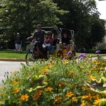 Seaside homes and Gardens Tour - Who Will Love This Tour?