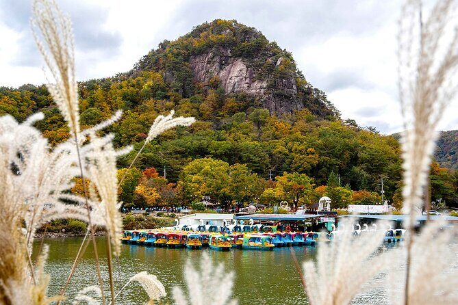 Seasonal Pocheon Full Day Tour with Apple Farm Experience - Herb Island: A Fragrant Finale