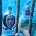 SeaTrek Tour St. Maarten - The Authenticity and Value of the Experience