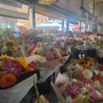 Seattle Layover Essentials Private Tour - Authentic Experiences & Practical Tips