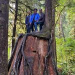 Seattle: Rainforest and Olympic National Park Highlights - Key Points to Remember