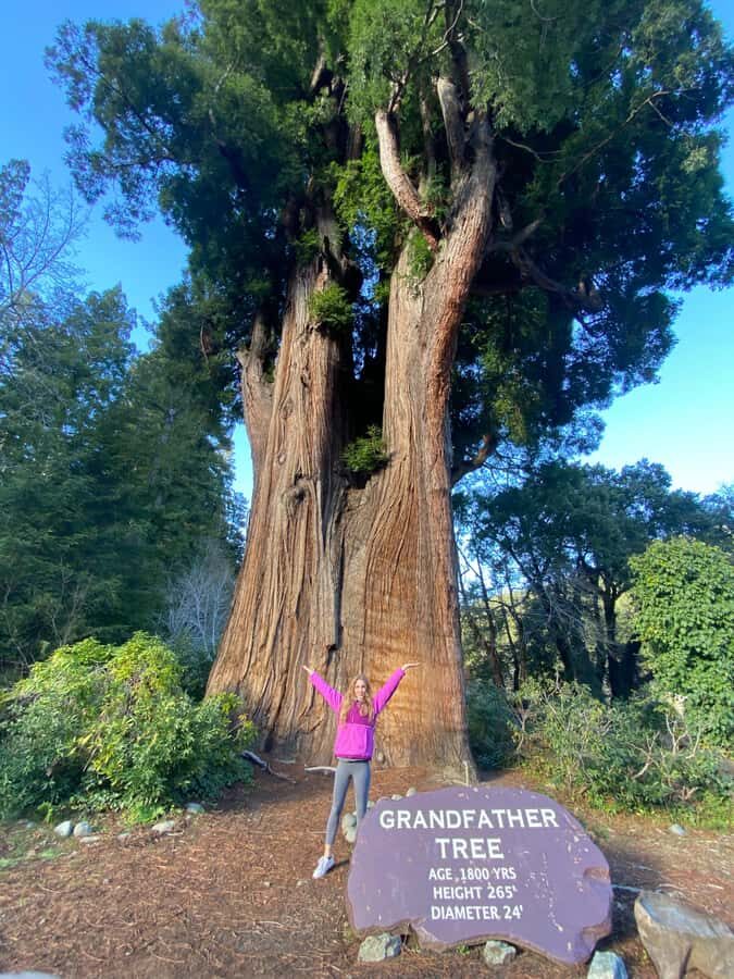 Seattle to California: National Parks and Coast Road Trip - What’s Included & How It Feels to Travel