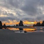 Seattle to Edmonds 4WD Private Tour - The Practicalities: What’s Included, What to Expect