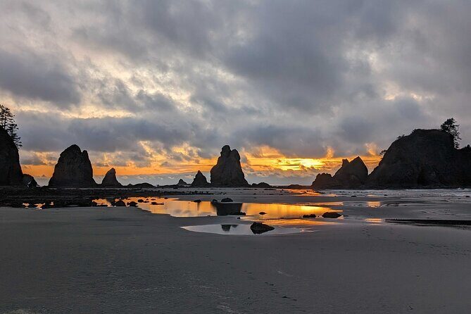 Seattle to Edmonds 4WD Private Tour - The Practicalities: What’s Included, What to Expect