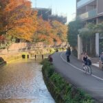 Secret Eastern Kyoto Biking Adventure - The Itinerary: What You’ll See and Why It Matters