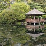 Secret Gardens of Victoria Tour - The Afternoon High Tea: A Gentle Indulgence