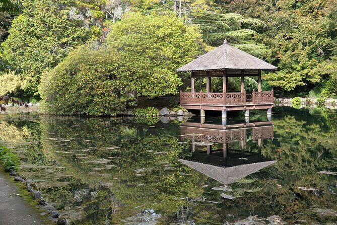 Secret Gardens of Victoria Tour - The Afternoon High Tea: A Gentle Indulgence