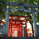 Secret of Shibuyas Origine - Who Will Love This Tour