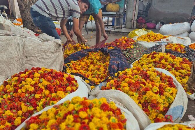 Secrets of the Pink City Old Jaipur Heritage Walking Tour - Who Will Love This Tour?