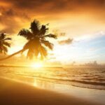 Secrets Royal Beach - Round Trip Shuttle - Punta Cana Airport - Pricing and Value Analysis