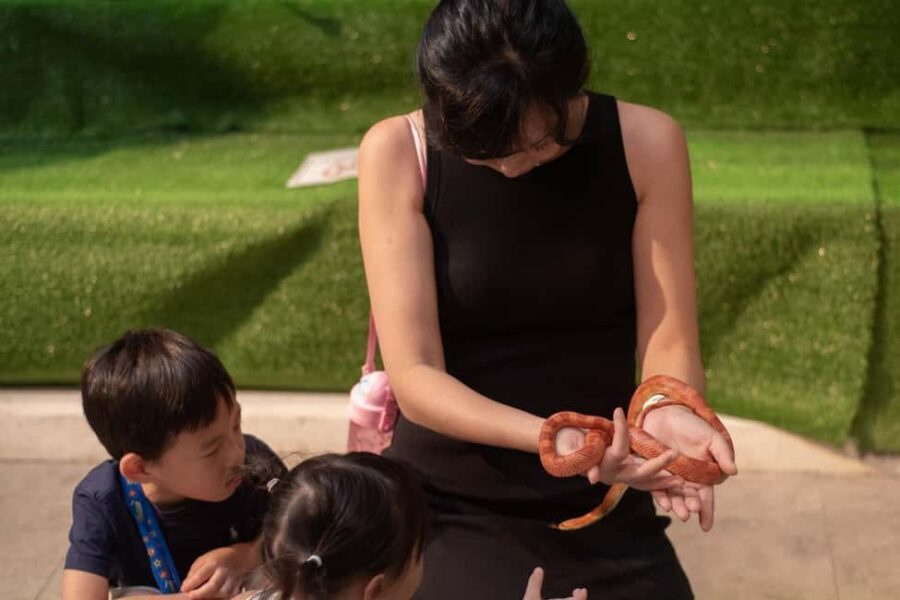 Selangor : Just Farm at Just Pets Megastore Ticket - How to Make the Most of Your Visit