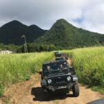 Self Drive 4x4 Off Road Jeep Wrangler & Beach Chill - The Reviews: Authentic Perspectives on the Tour