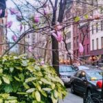 Self-Guided Walk of New York's Gramercy and Flatiron Districts - The Gramercy Neighborhood: Elegance and Intimacy