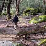 Self Guided Yosemite Walking Tour Explore with Expert Audio Guide - What Travelers Say