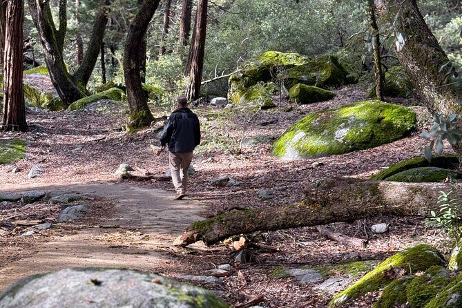 Self Guided Yosemite Walking Tour Explore with Expert Audio Guide - What Travelers Say