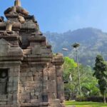 Selogriyo Temple Adventure:Rice Field Trek&Elo River Rafting - Why This Tour Offers Great Value