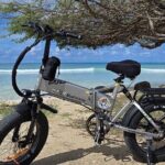 Semi-Private Malmok and Lighthouse coastal e-bike ride experience - What to Expect from the Coastal E-Bike Tour