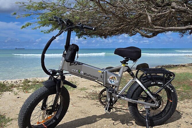 Semi-Private Malmok and Lighthouse coastal e-bike ride experience - What to Expect from the Coastal E-Bike Tour
