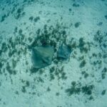 Semi Private Snorkeling Tour in Isla Mujeres - Who Should Consider This Tour?