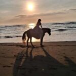 Seminyak: Bali Horse riding Adventure Seminyak Beach - Practical Tips for Your Ride