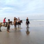 Seminyak Beach Horse Riding Experience - Analyzing the Experience: Value, Comfort, and Authenticity