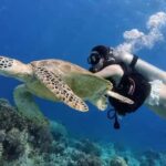 Semporna 3-Islands Day Tour: Snorkeling & Photography&Lunch - The Practicalities