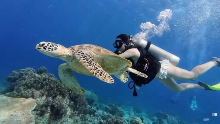 Semporna 3-Islands Day Tour: Snorkeling & Photography&Lunch - The Practicalities