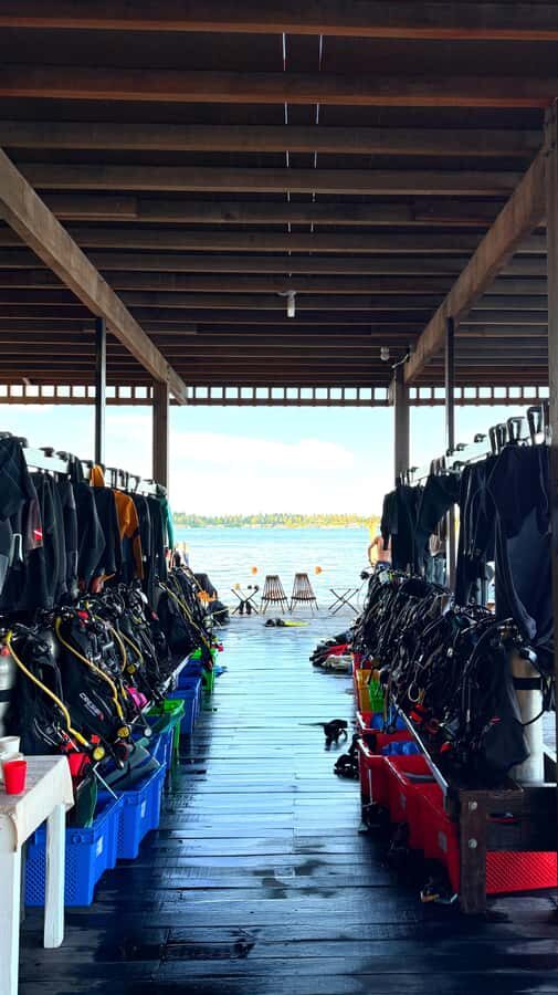 Semporna: Dive Buwan Reef at Night with Dinner & Transfer - The Practical Side: Costs, Group Size, and Value