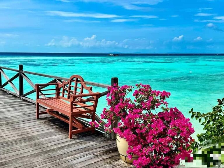 Semporna Island Hopping & Diving 3-Day Trip - What’s Unique About This Tour?