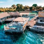 Semporna Night Dive Buwan Reef With Dinner by Boat - Who Will Love This Tour?