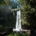 Senaru Nature Escape Waterfalls and Ridge Walk - Why This Tour Offers Real Value