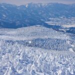 Sendai: Ginzan Onsen, Zao Ropeway Snow Monsters Tour & Lunch - Who Will Enjoy This Tour?