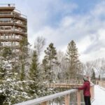 Sentier des cimes Laurentides: Treetop Observatory & Walk - Final Thoughts