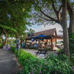 Sentosa Island: Ticket to Mega Adventure Park - MegaClimb: Treetop Obstacle Course