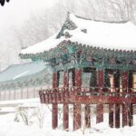Seoraksan National Park & Nami Island - Authentic Experiences and Authenticity