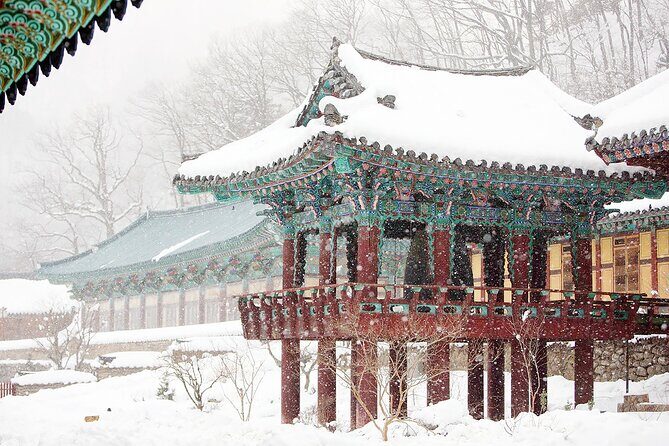 Seoraksan National Park & Nami Island - Authentic Experiences and Authenticity