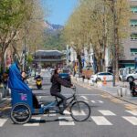 Seoul Bukchon Heritage Tour with Pedicab and Workshop - Practical Details and Tips