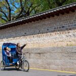 Seoul: Bukchon Pedicab Tour & Dancheong Experience - Who Should Consider This Tour?