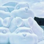 Seoul: Cheongyang Ice Festival & Winter Activities - The Sum Up