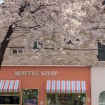 Seoul City Cherry Blossom Private Sightseeing Tour - What’s Included and What’s Not