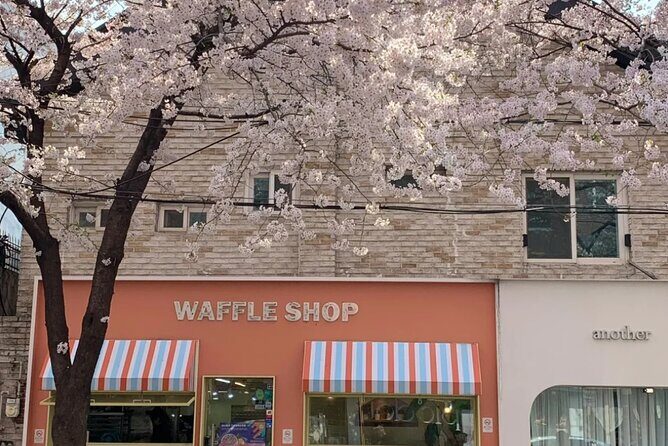 Seoul City Cherry Blossom Private Sightseeing Tour - What’s Included and What’s Not