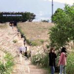 Seoul : Closest Starbucks to DMZ + Hidden Hanok Village Day Tour - What Does the Price Get You?