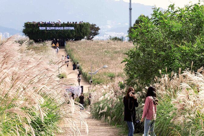 Seoul : Closest Starbucks to DMZ + Hidden Hanok Village Day Tour - What Does the Price Get You?