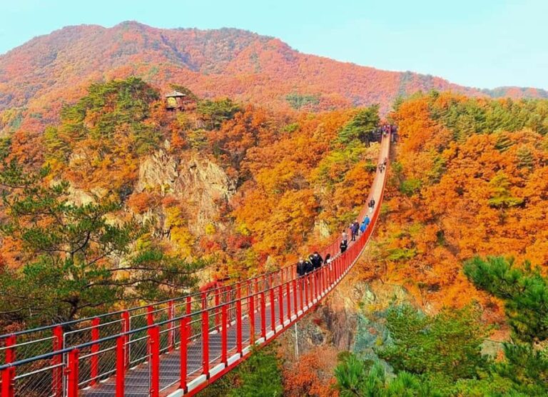 Seoul: DMZ, 3rd Tunnel, Suspension Bridge Small Group Tour - What We Love About This Tour