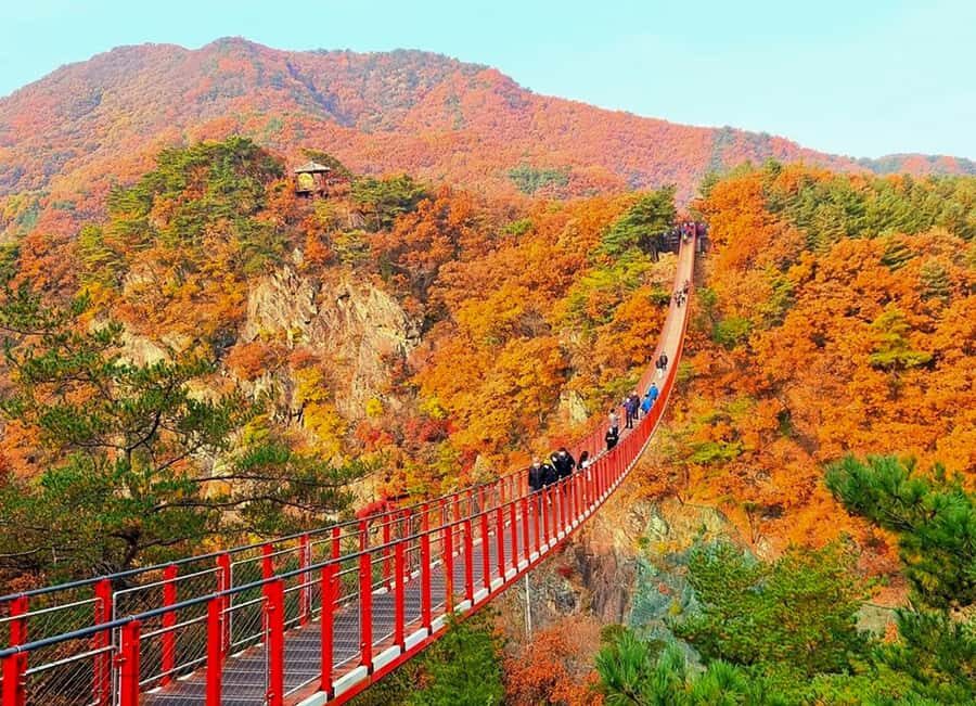 Seoul: DMZ, 3rd Tunnel, Suspension Bridge Small Group Tour - What We Love About This Tour